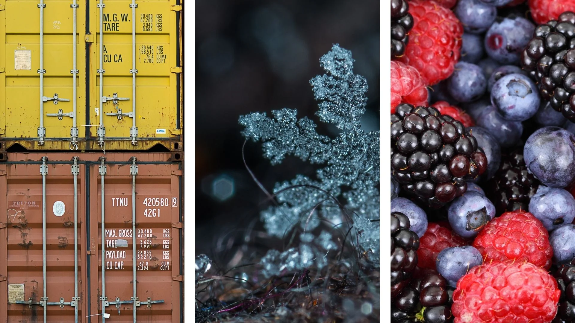 Konteyner Soğuk Hava Deposu - Güldem Endüstriyel Soğutma Sistemleri